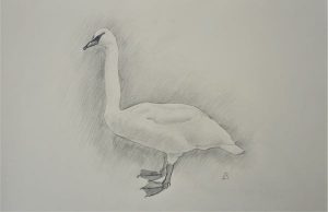 A Carthusian Bishop « Gwyneth Thompson-Briggs